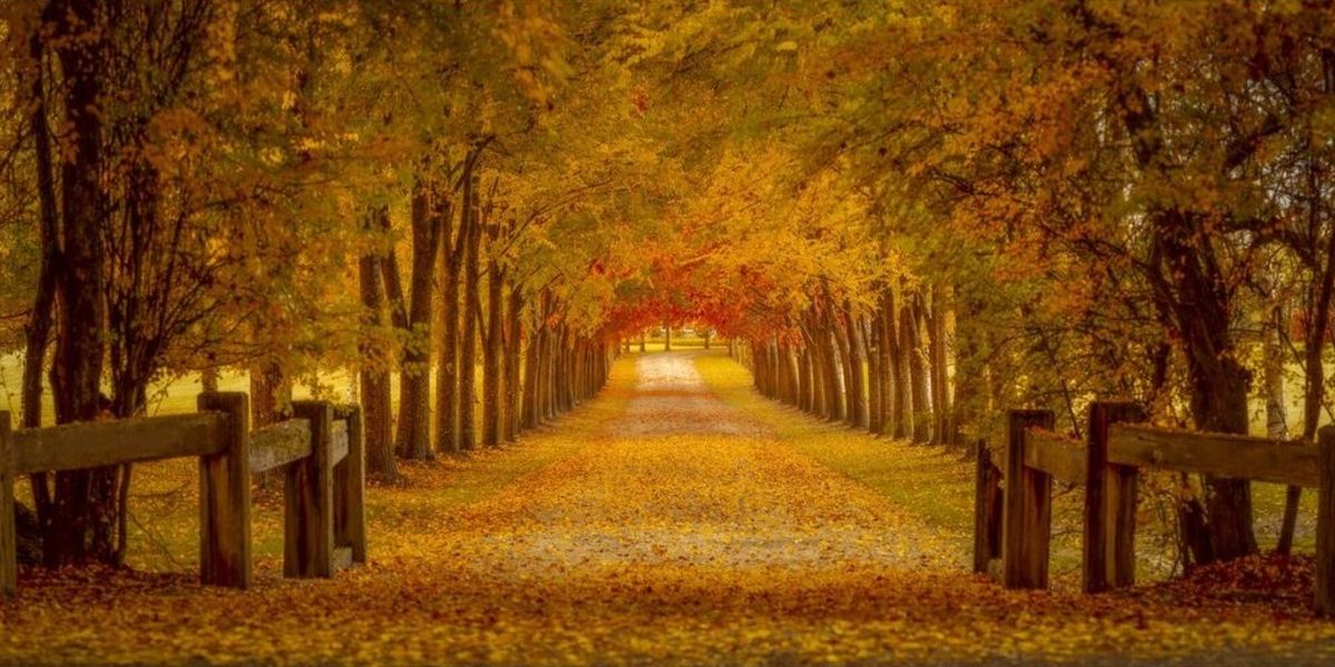 🎑 10 Best Places to Visit in Autumn in New Zealand [2024]