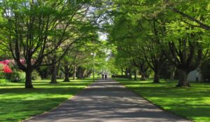🕍 THE-20-BEST Things to Do and See in Invercargill | 2024